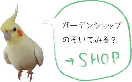 SHOP | MIZSEI 水生活製作所