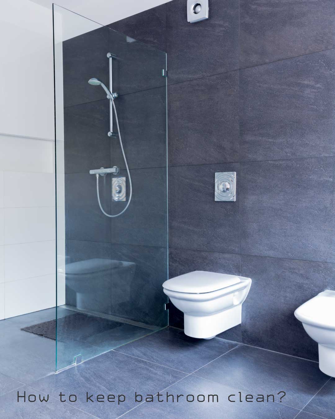 BJ006 | MIZSEI 水生活製作所